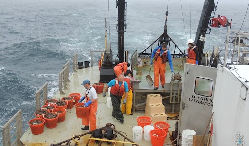 At Sea Educational Building Competition | Worldwide | About