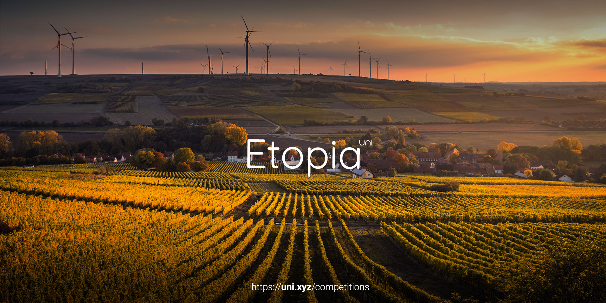 Embracing Serenity: Minimalist Courtyard House Design Unveiled in ...