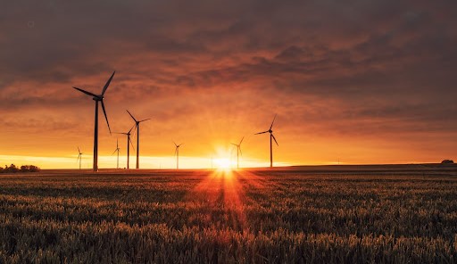 Nature Untamed Installations Competition | Serengeti National Park | About